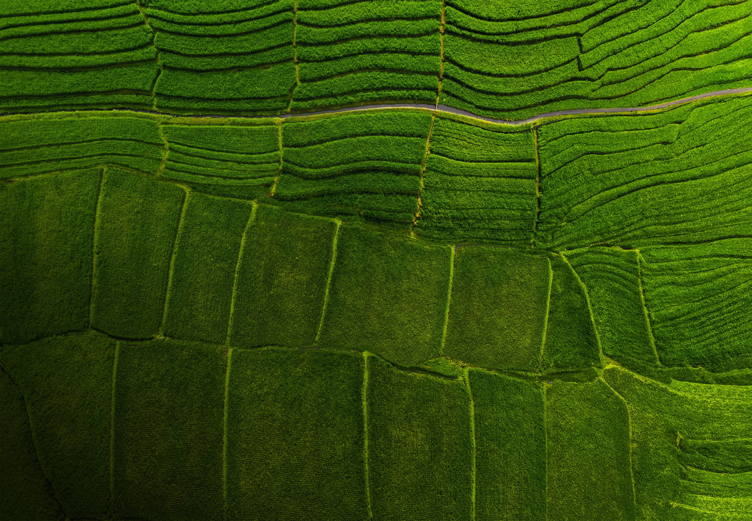 ODDO BHF devient signataire des Principes pour l'Investissement Responsable - ODDO BHF PWM France