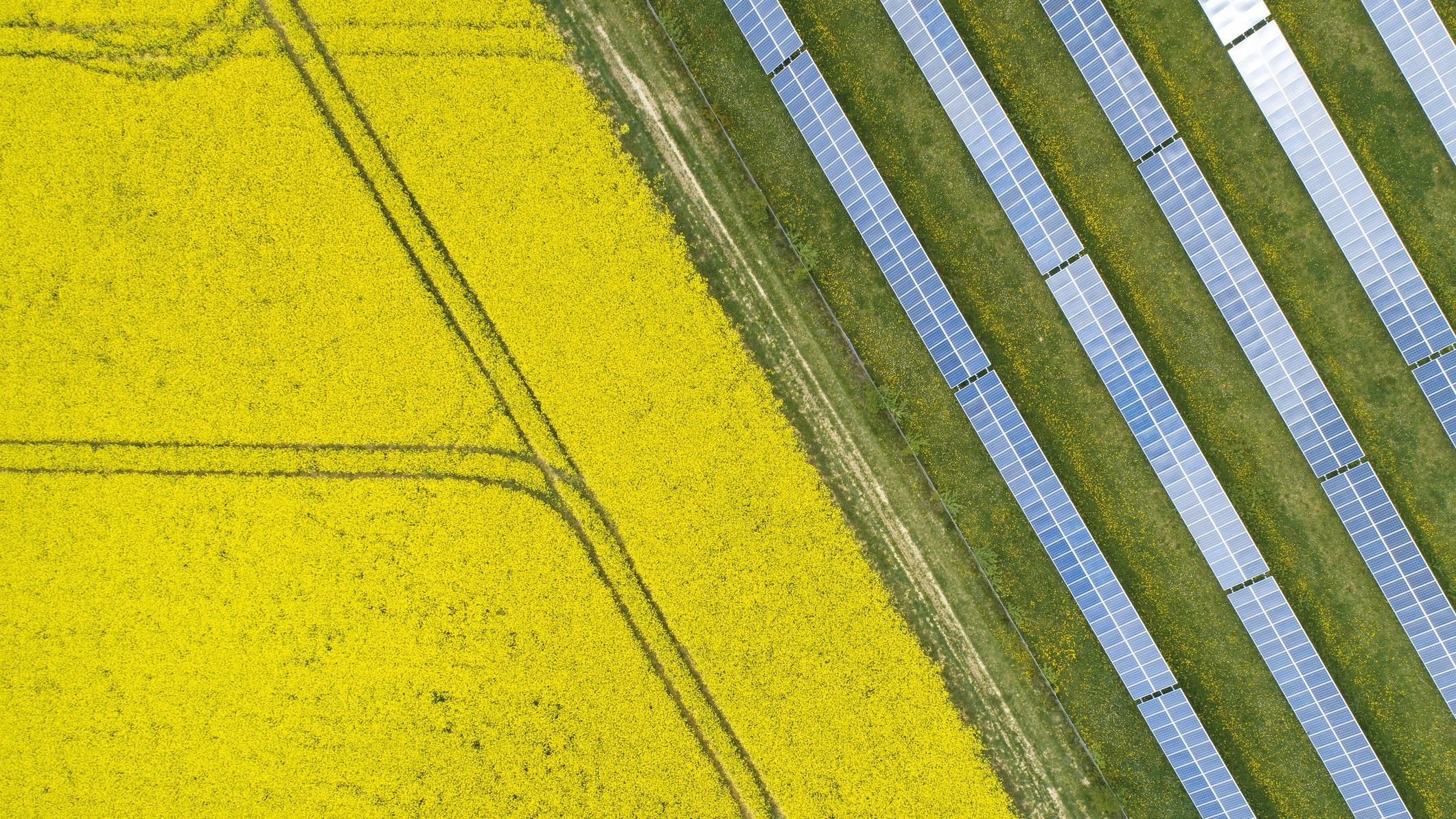 Moins de slogans, plus de mégawatts : la durabilité version 2026 - ODDO ...